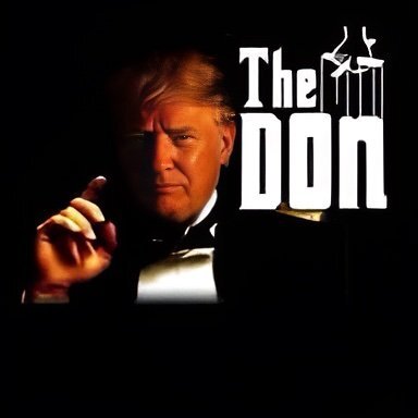 The Don (DON) ICO Rating, Reviews and Details | ICOholder