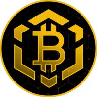 Bitcoin BSC (BTCBSC) ICO Rating, Reviews and Details | ICOholder