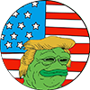 Trump Pepe (TRUMPE) ICO Bewertung und Details | ICOholder