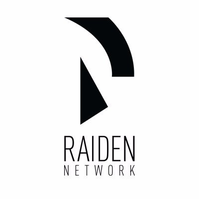 Raiden | ICOholder