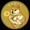 Buff Doge (DODGE) ICO beoordeling en details | ICOholder