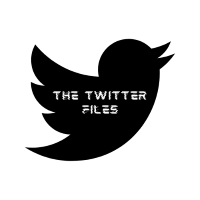 The Twitter Files (TWTF) ICO Rating, Reviews and Details | ICOholder