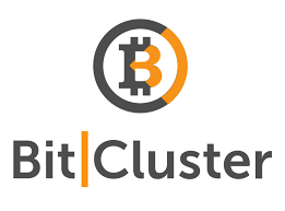 Bitcluster | ICOholder