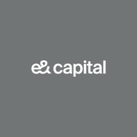 e& capital | ICOholder