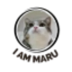 I am Maru (MARU) ICO beoordeling en details | ICOholder