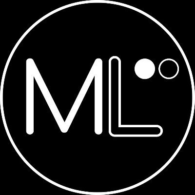 Modulus Labs ICO valutazione e dettagli | ICOholder