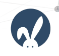 Rabbit ICO Rating, Reviews and Details | ICOholder