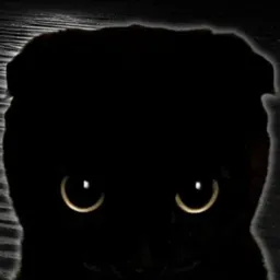 Void cat (VOID) ICO Рейтинг, Обзоры и Информация | ICOholder