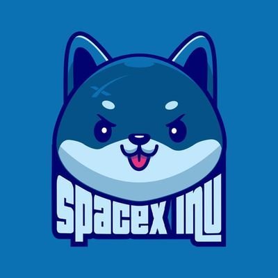 SpaceX Inu ICO Rating, Reviews and Details | ICOholder