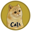 Cats (CATS) ICO beoordeling en details | ICOholder