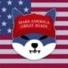American Shib (SHIBA) ICO beoordeling en details | ICOholder