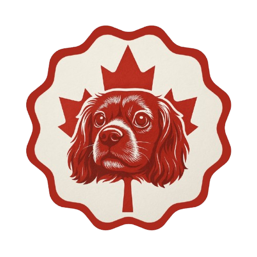 Teo Canada (TEO) ICO Рейтинг, Обзоры и Информация | ICOholder