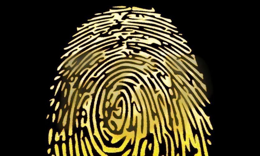 FingerPrint Coin (FGP) ICO Rating, Reviews and Details | ICOholder