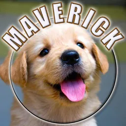 Maverick (MAVE) ICO Bewertung und Details | ICOholder