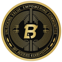 BIT ACCESS (BIT) ICO beoordeling en details | ICOholder