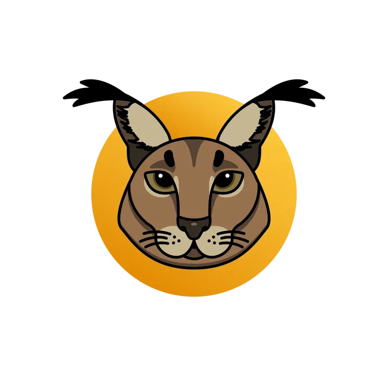 Floppa Tech (FLOP) ICO calificación y detalles | ICOholder