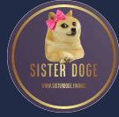 Sister Doge (SDOGE) ICO Rating, Reviews and Details | ICOholder