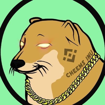 Cheems Inu (CINU) ICO Rating, Reviews and Details | ICOholder