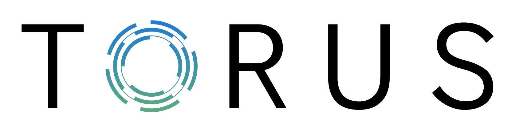 Torus ICO Rating, Reviews and Details | ICOholder