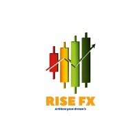 Rise Fx | ICOholder