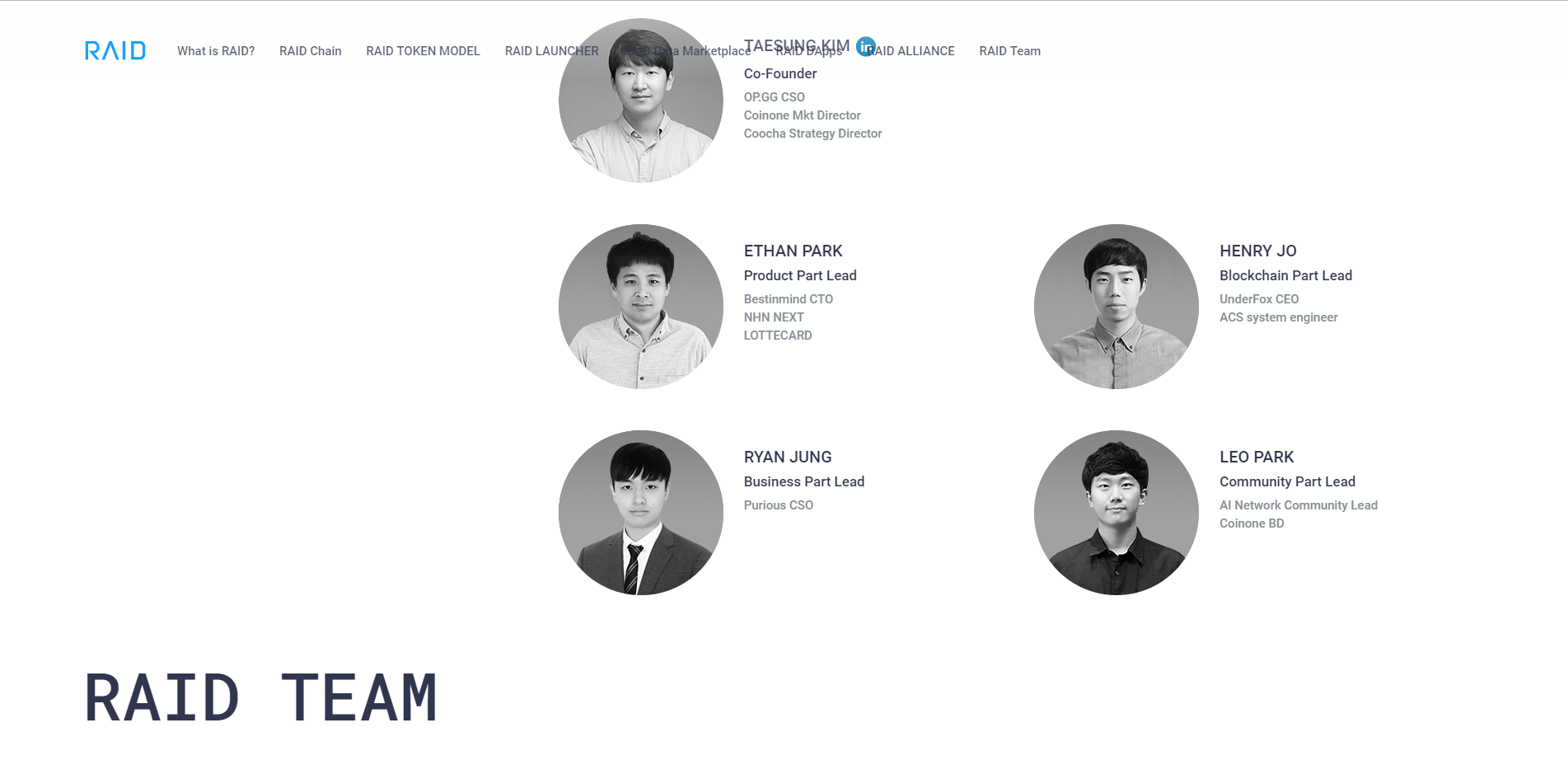 Raid (RAID) IEO Rating, Reviews and Details | ICOholder