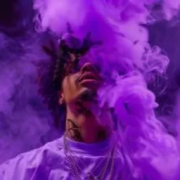 Purpp ICO Bewertung und Details | ICOholder