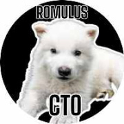 New Ancient DNA Cloned Wolf (ROMULUS) ICO calificación y detalles ...