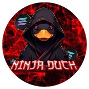 NINJA DUCK INU (NDUCK) ICO Bewertung und Details | ICOholder