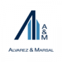 Alvarez&Marsal | ICOholder