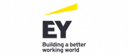 EY | ICOholder