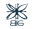 BIG Token (BIG TOKENS) ICO classificação e detalhes | ICOholder