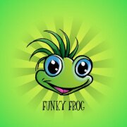 FunkyFrog (FRO) ICO Rating, Reviews and Details | ICOholder
