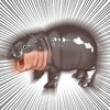 MOO DENG (MOODENG) ICO Bewertung und Details | ICOholder