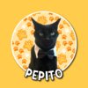 Pepito The Cat (PEPITO) ICO Bewertung und Details | ICOholder