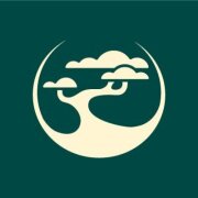 Bonsai DAO ($BONSAI) ICO Rating, Reviews and Details | ICOholder