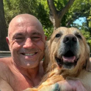 Marshal Joe Rogan’s Dog (MARSHAL) ICO calificación y detalles | ICOholder