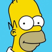 The Simpson Token (HOMER) ICO rating dan rincian | ICOholder