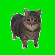 Oiia (OIIA) ICO calificación y detalles | ICOholder